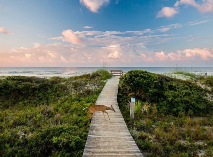 Location Near Beach! Sanctuary & Night Heron Park - Kiawah Island, SC