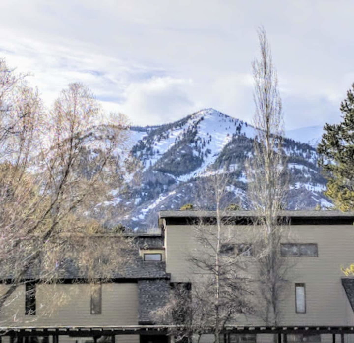 Spectacular Mountain Condo In Great Location! - Jackson Hole, Wyoming