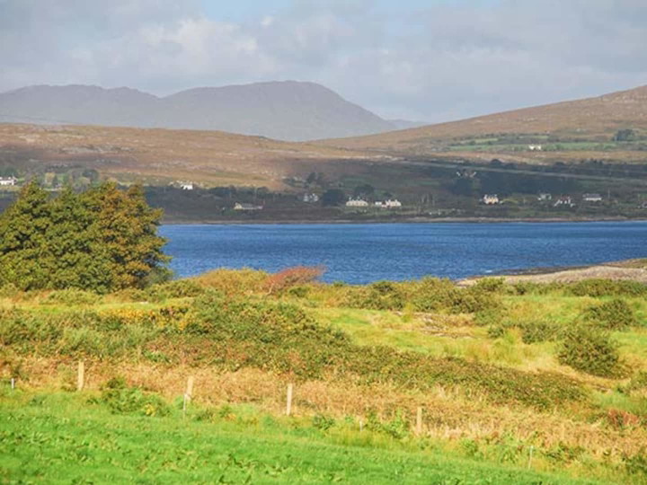 Nellie's Farmhouse - Bantry