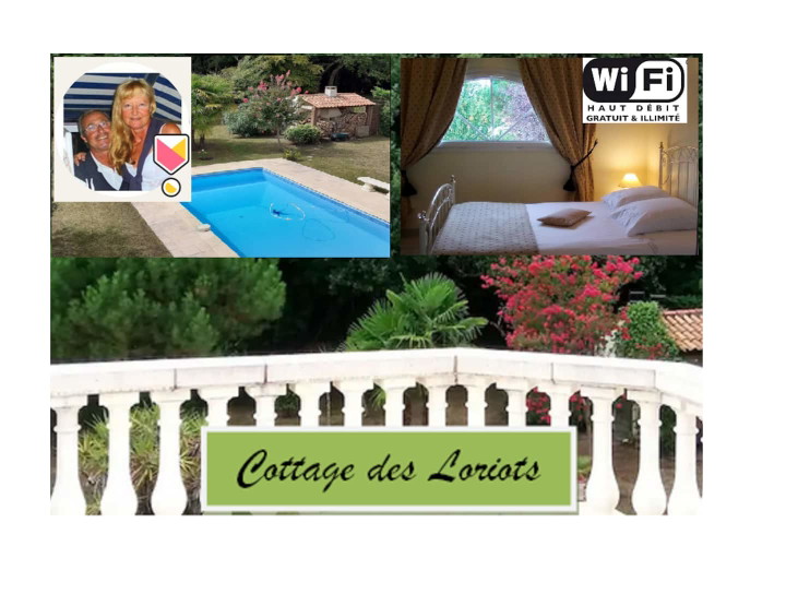Charmant Studio Indépendant Lumineux Et Climatisé - Saintes