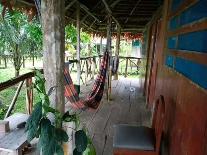 Disfruta De La Flora Y Fauna De Mi Selva Iquitos - Iquitos
