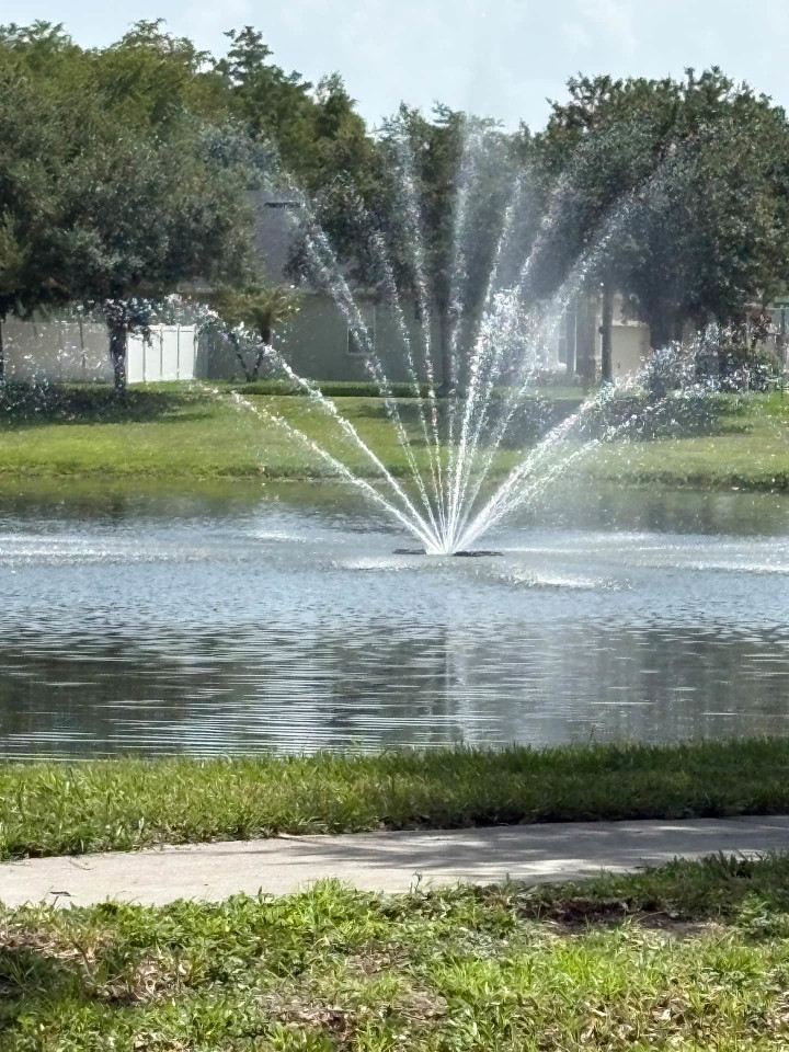 Zory's Guest Private Apartment/annex To Home - Orlando