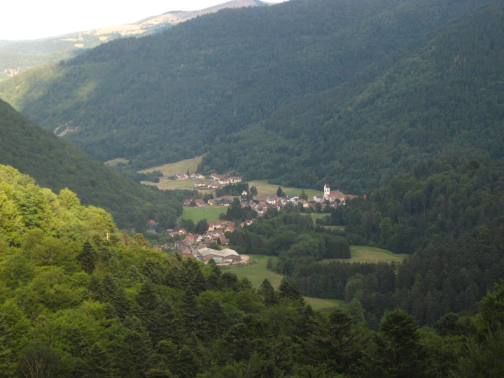 Gîte Alsace Rando & Nature Dans La Vallée Munster - Munster