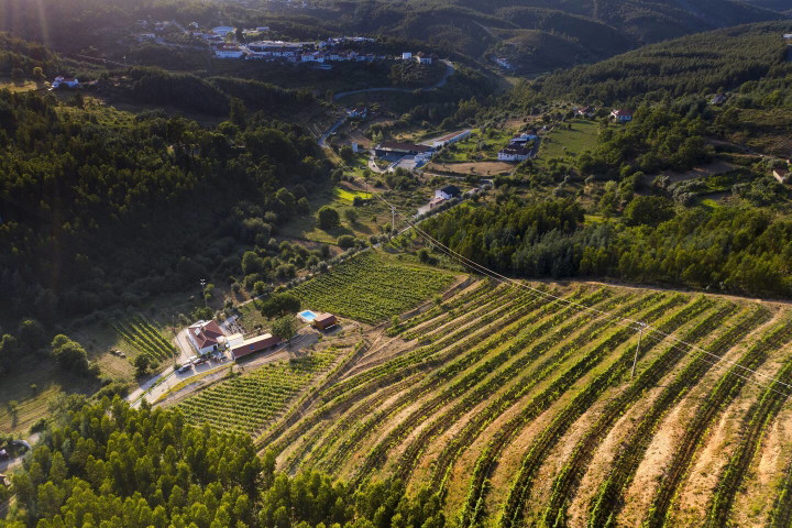 Quinta Da Aldeia Nova Verana Do Pinheiro - Arganil