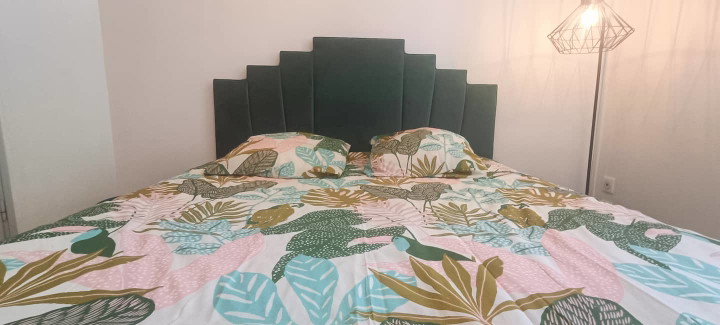 Appartement T2 Style Tropical - Angoulême