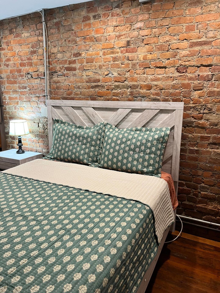 Historic City Center Brick Hideaway - Albany, NY