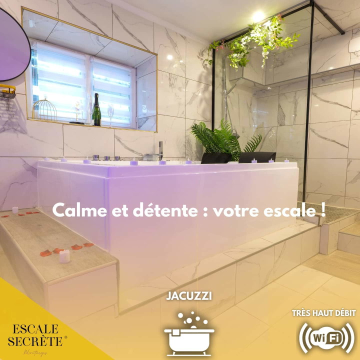Escale Secrète Montargis Jacuzzi & Climatisé - Montargis