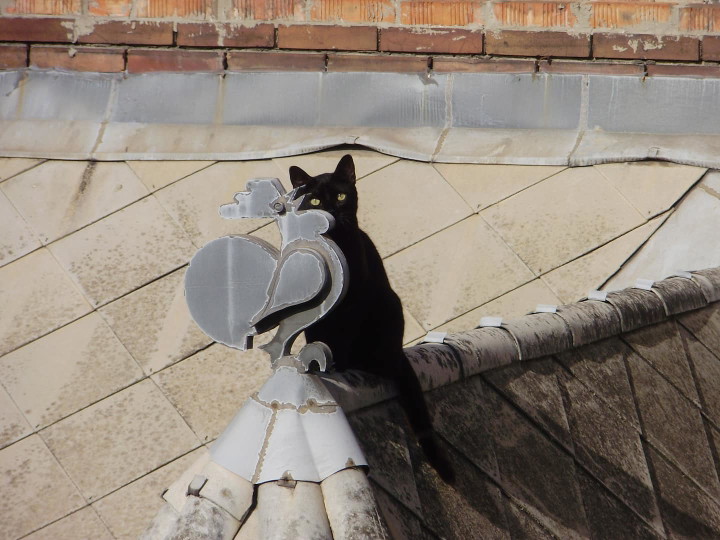 Banderuola E Il Gatto Nero 42 M2 Flat - Budapest