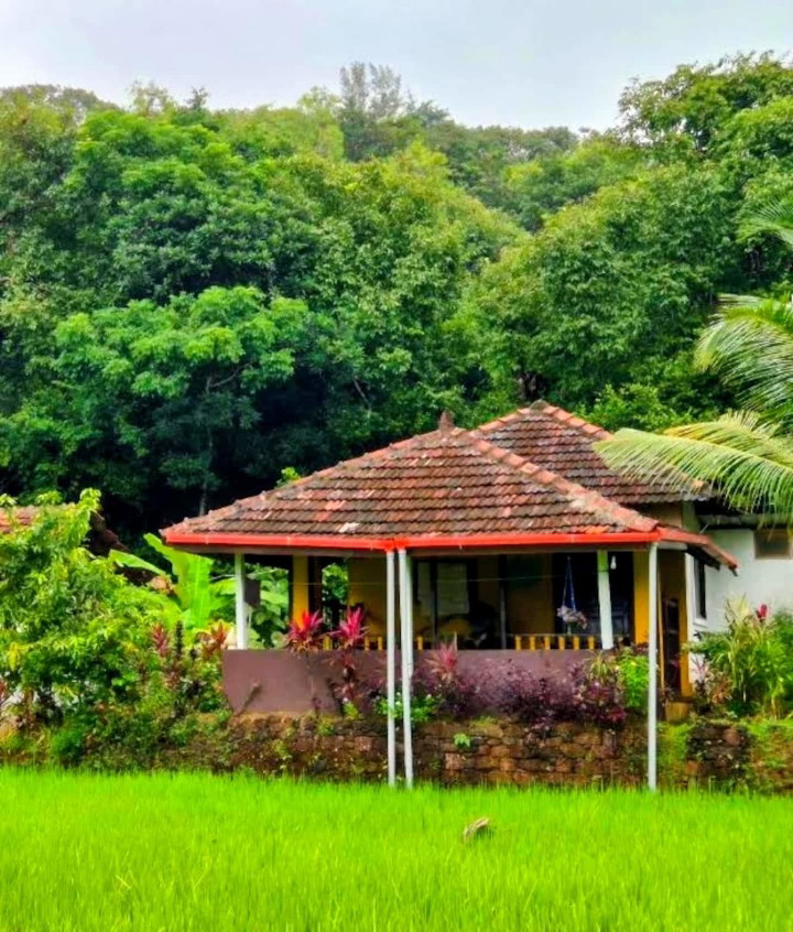 Narayan Farmstay - Gokarna