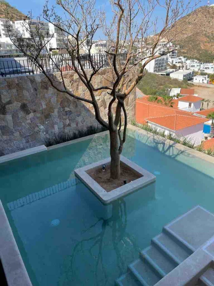 Luxury Condo In Pedregal With A Private Beach. - Cabo San Lucas