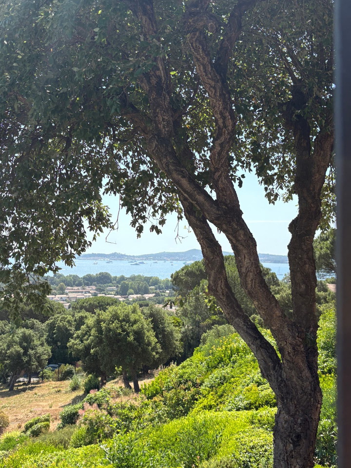 Appartement Avec Vue Imprenable Sur Saint-tropez - Grimaud