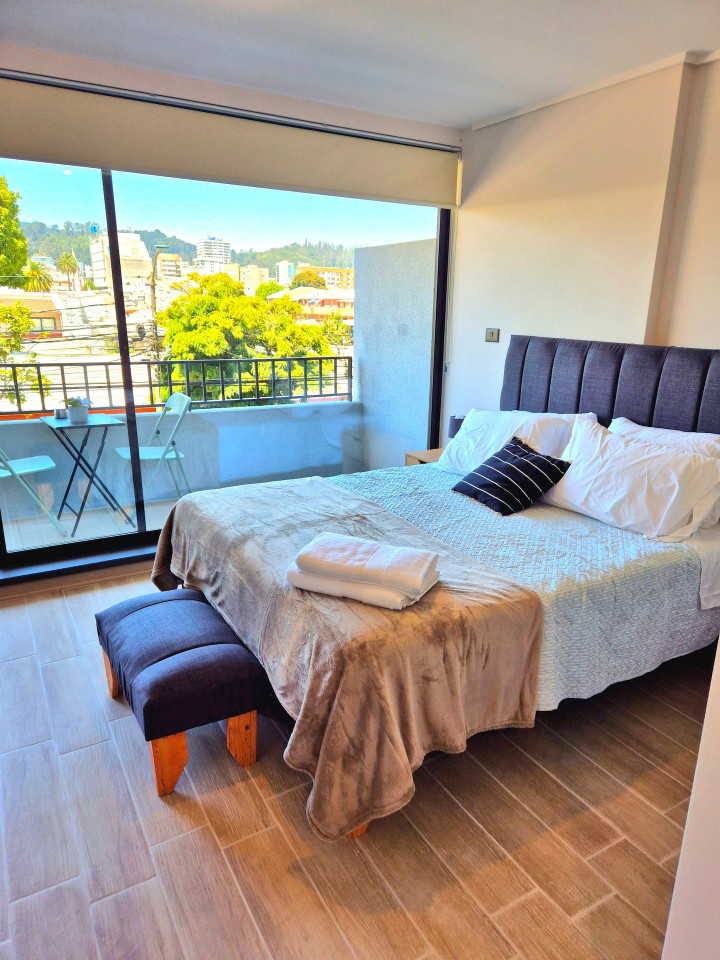Privileged Apartment In Downtown Concepción - Concepción, Chile