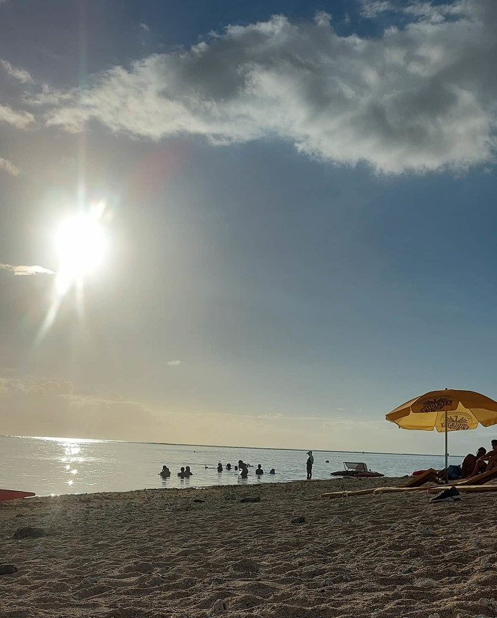 Dodoparasol, T3 Climatisé à 5 Min à Pied Du Lagon - La Réunion