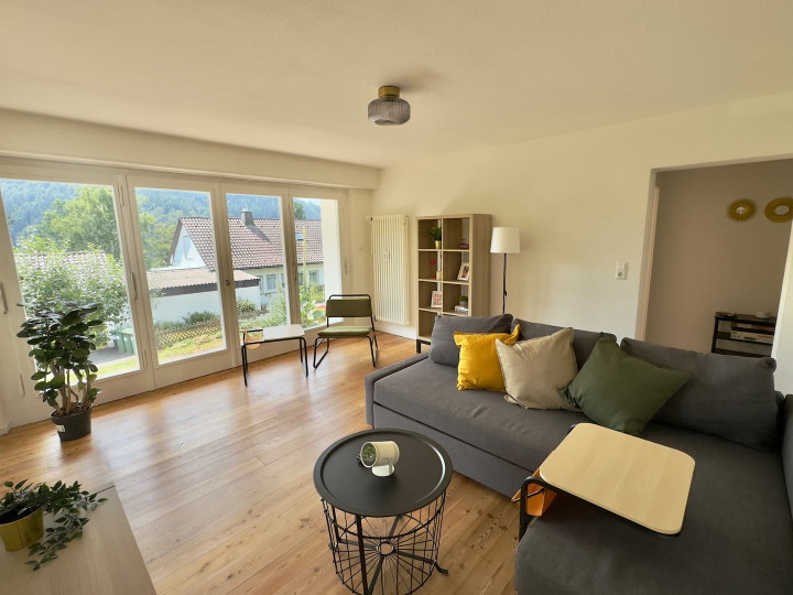 Cozy Apartment With A Black Forest View - Black Forest
