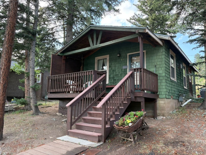 Cozy & Quiet 1bd Cabin In Nederland ~ Walk To Downtown - Nederland, CO