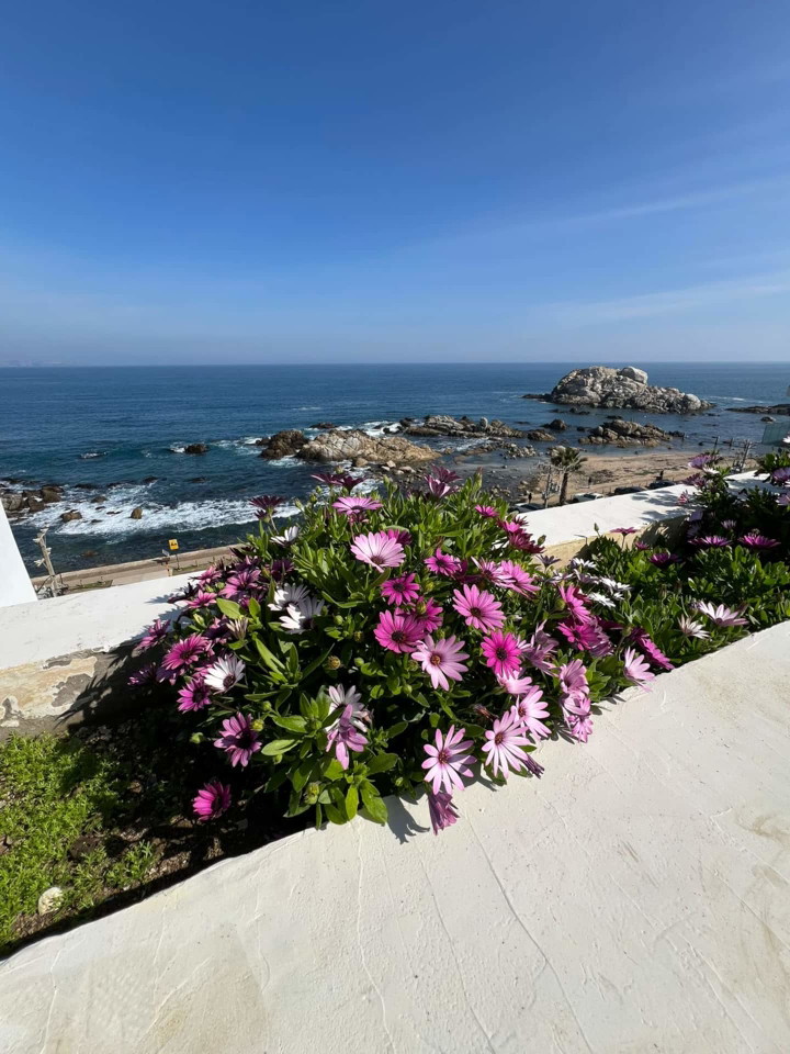 Depto. Con Terraza Xxl + Piscina Rooftop. - Concón