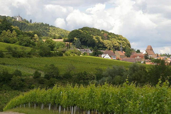 Maison Pfalz In Burrweiler - Burrweiler