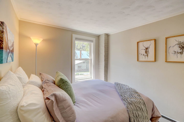 ~Sutton Suite~cute! Best Location! - Ouray, CO
