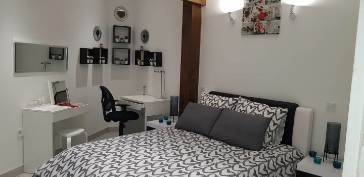 Dijon Super Appartement F1 Bis Climatisé Mezzanine - Dijon