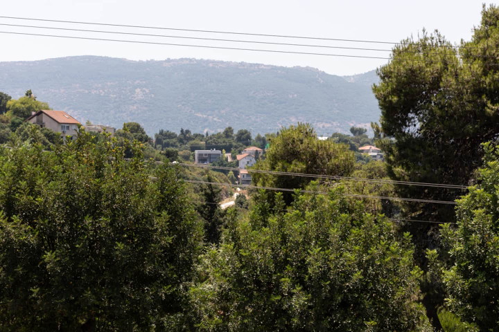 Sisso Dans Le Nord Verdoyant D'israël, Vallée De Tivon - Israël