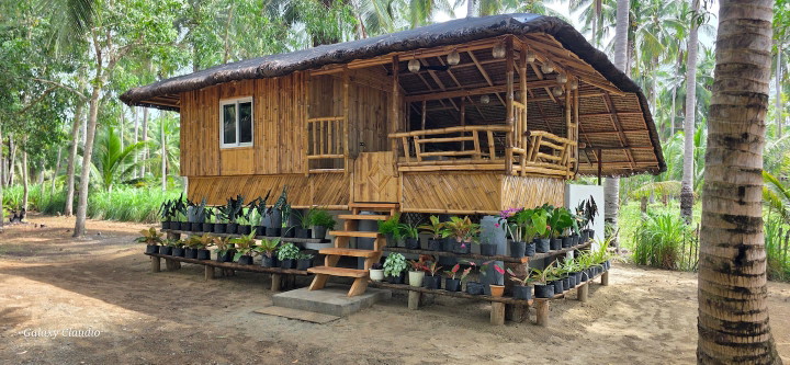 The Balay Bamboo Is Close To Beach - Filipinas