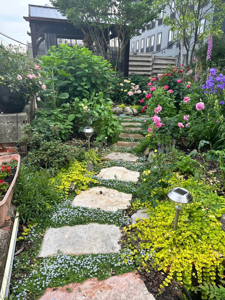 Hidden Gem Townhome/2 Brs -University City - Philadelphie, PA
