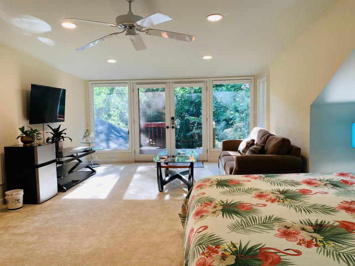 Spacious Tree-top Master Bedroom Guest Suite - Atlanta, GA