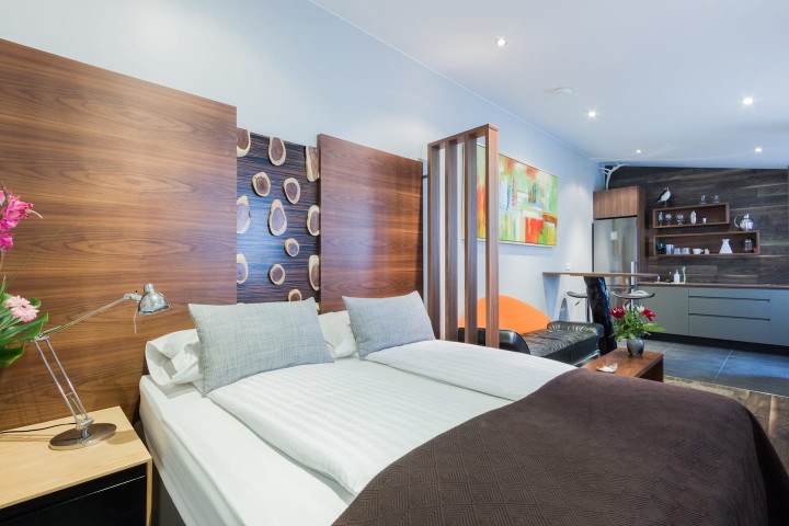 Studio Apartment In The City Center - Reykjavik