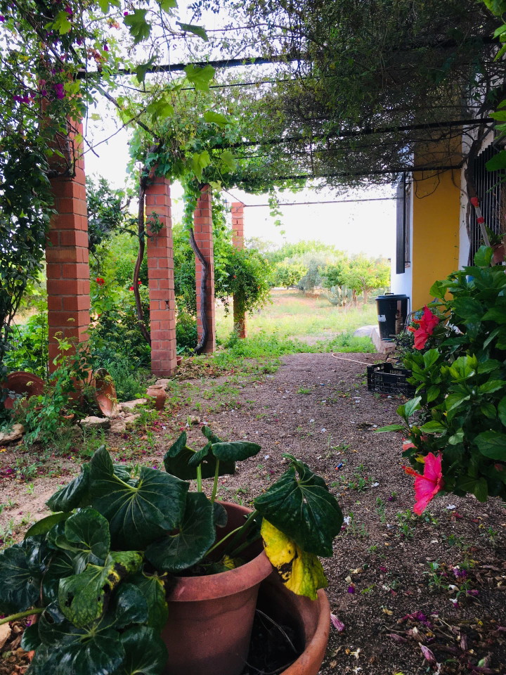 Finca Vera Mar - Spain