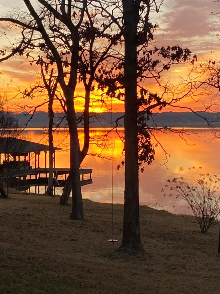 Paradise On Palestine - Chandler, TX