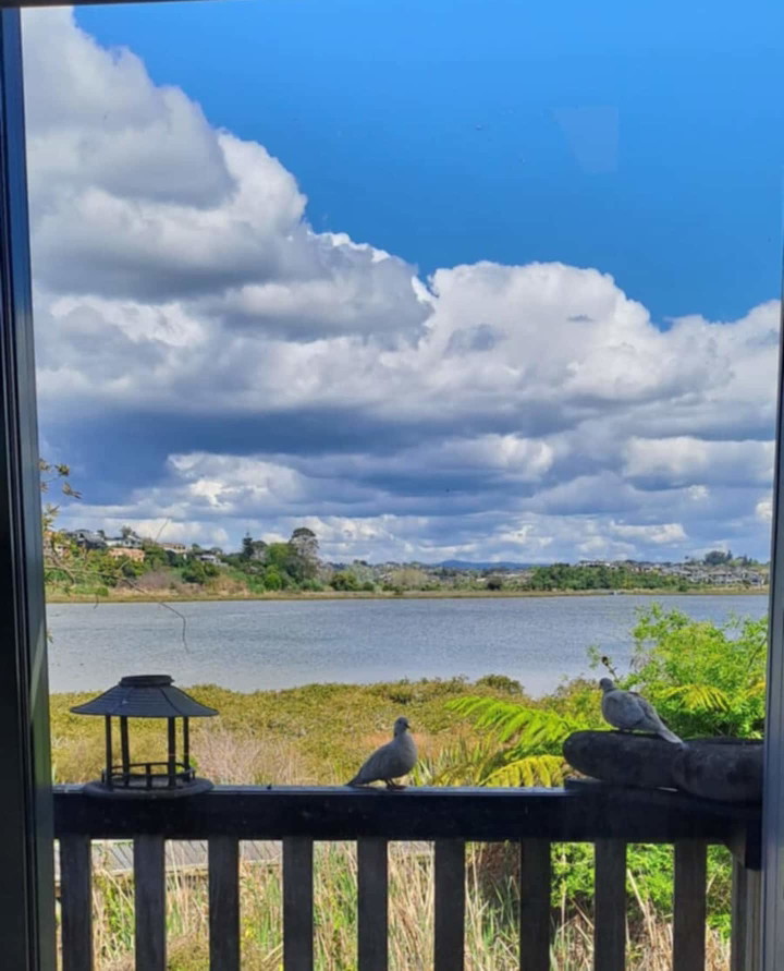 Birds Of A Feather Room With A View - Tauranga