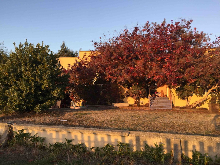 Redwood Coast Farmhouse - Arcata, CA