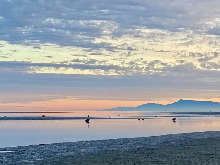 Beachside Living. Pet Ok. 1 Block From The Beach! - Tsawwassen
