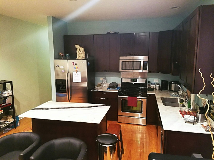 Spacious And Very Bright 2bdr Loft Near Downtown - Chicago
