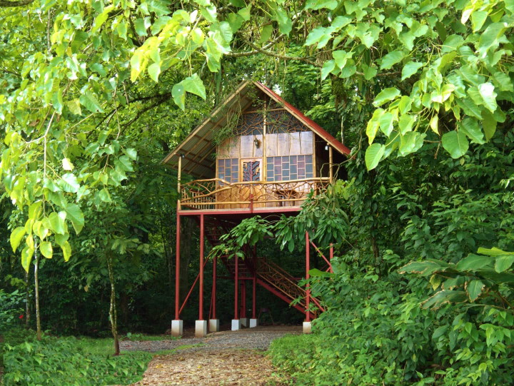 Magical Jungle Tree House With Hot Springs. - Costa Rica