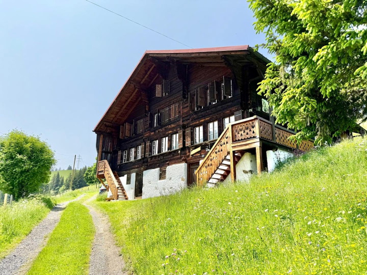 Swiss Chalet  Detox In Nature - Les Diablerets