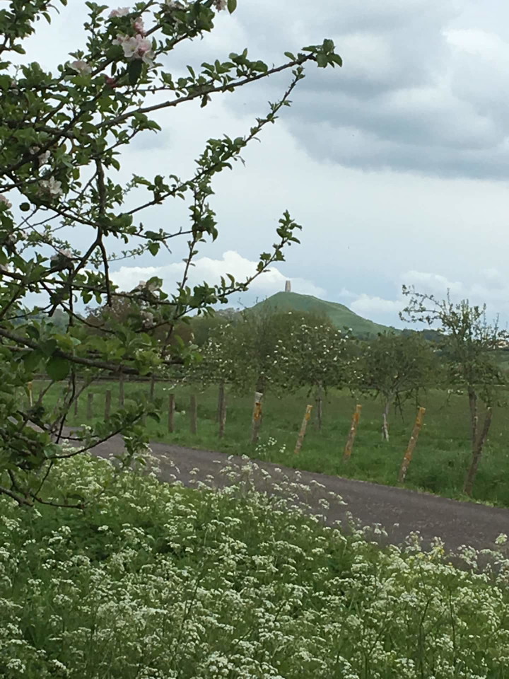The Dairy At Cradlebridge Farm - Glastonbury