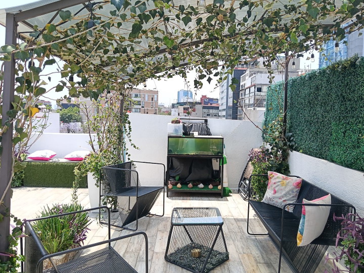 Séjour Dans Un Jardin Privé Sur Le Toit, Emplacement Idéal&nbsp;! - Mexique