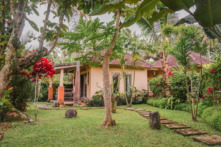1 Bedroom Cottage With Ricefield View | Pool - Bali