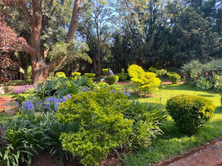 Cottage Pittoresque - Zimbabwe