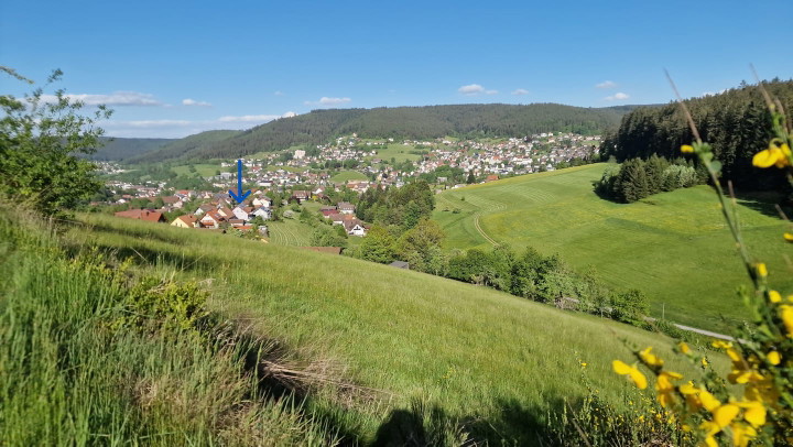 Baiersbronn, Forêt-noire, Vue, 2 Pièces, Soleil - Baiersbronn