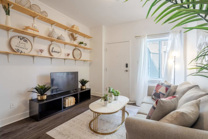 Charmant Appartement Dans Le Centre-ville De Montréal - Montréal, QC