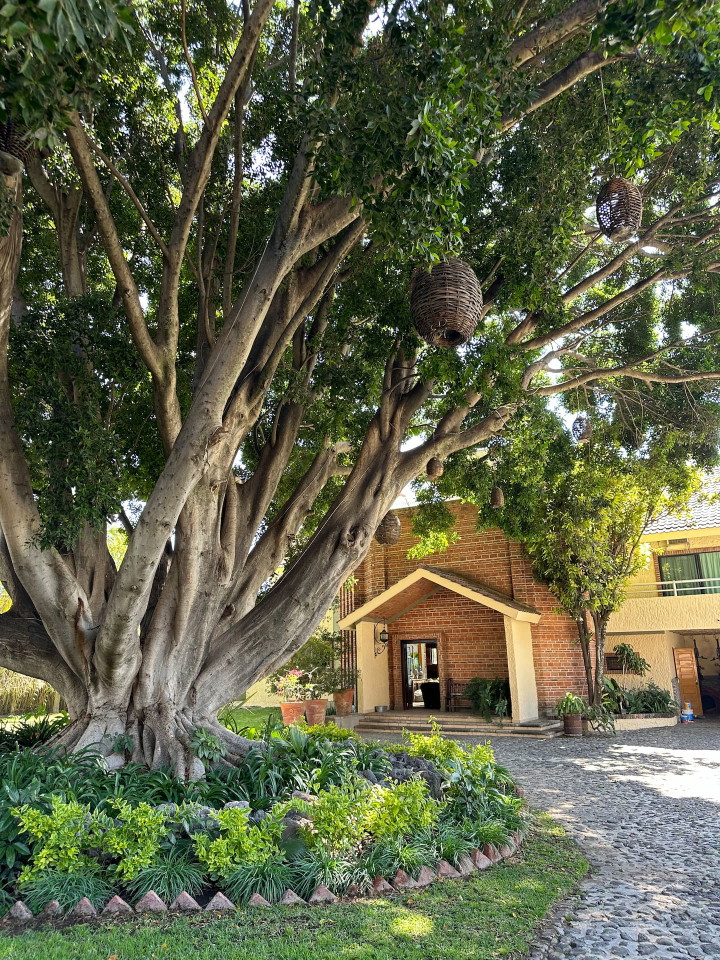 Casa Abapa En El Chante - Jocotepec