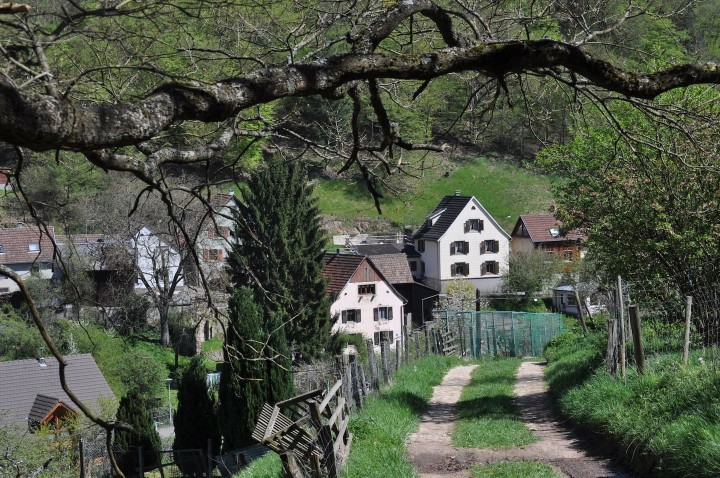 Gîte Dans Petit Village Tranquille - Munster