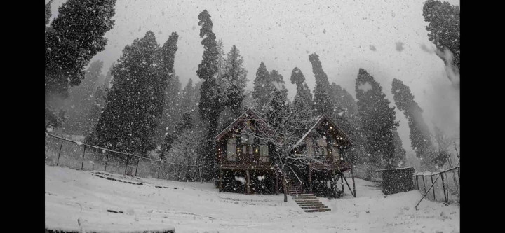 Solomons Gray  Cottage 1 - Gulmarg