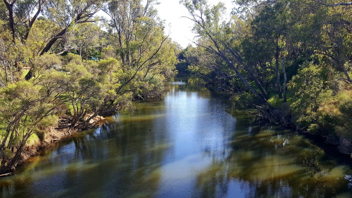 Riverside Hideaway. - Pinjarra