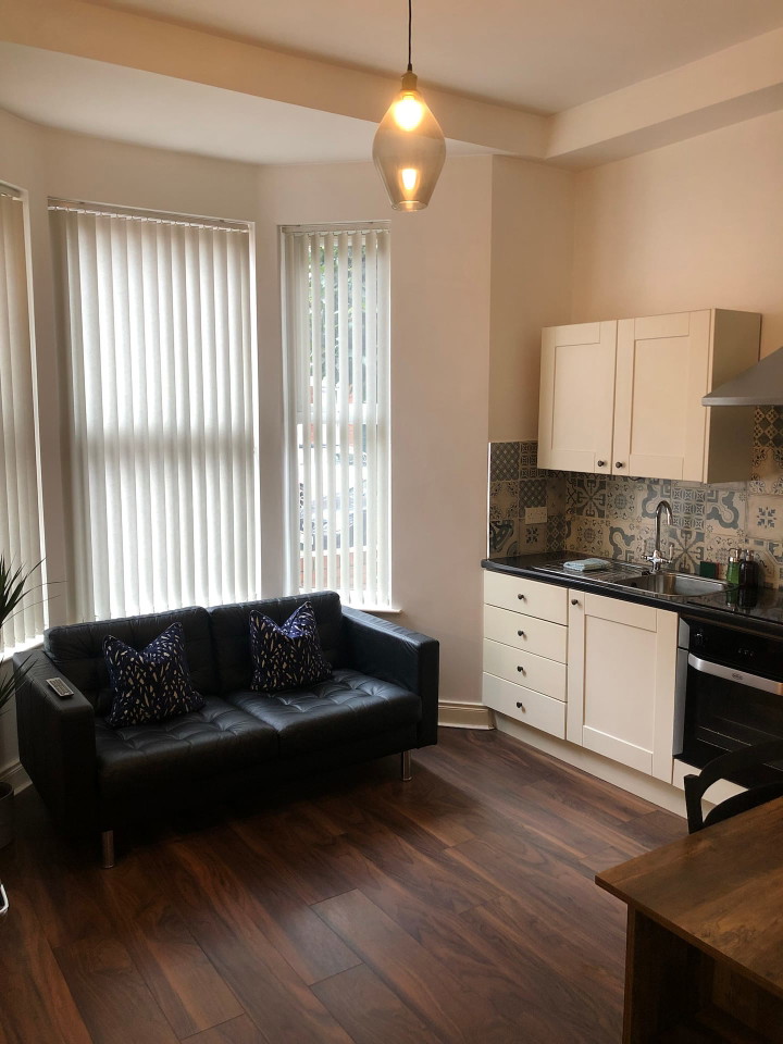 5* Sparkling 1br Modern Apt In ️ Of Belfast!! - Belfast