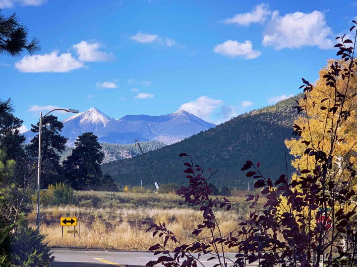 Flagstaff In Style:chic Studio,steamshower &Vistas - Flagstaff