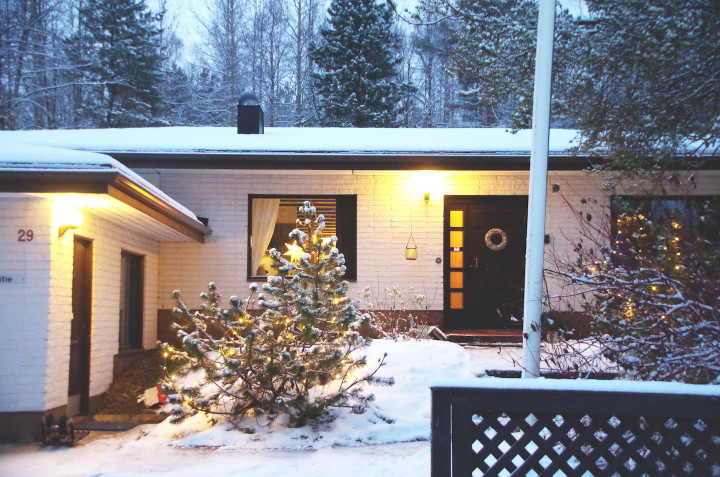 The Blueberry Forest Studio Ii - Rovaniemi