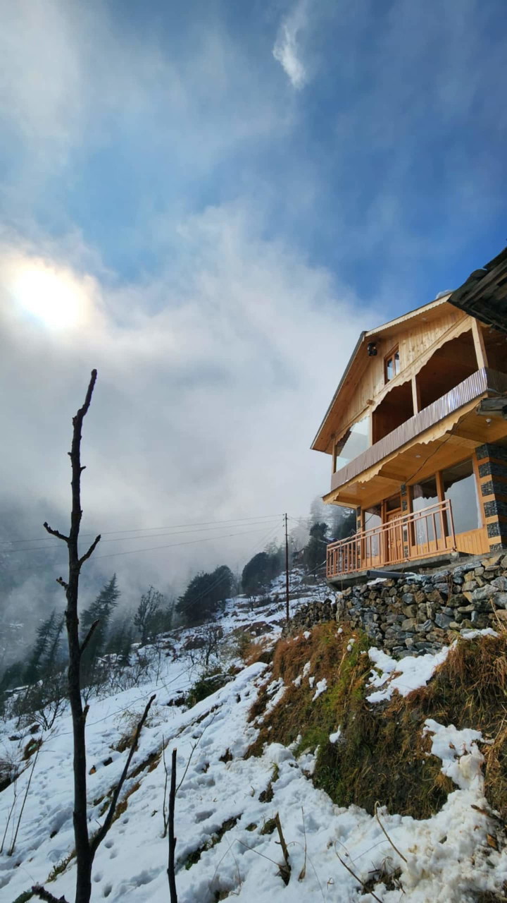 Bastiat Stays | The Woodland Valley View | Tandi - Jibhi